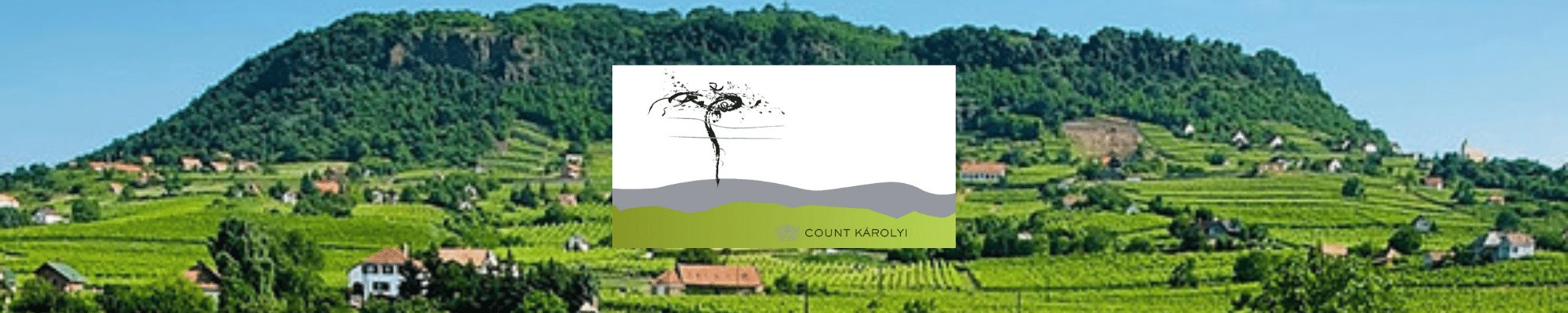 Count Karolyi – Family Wineries Direct