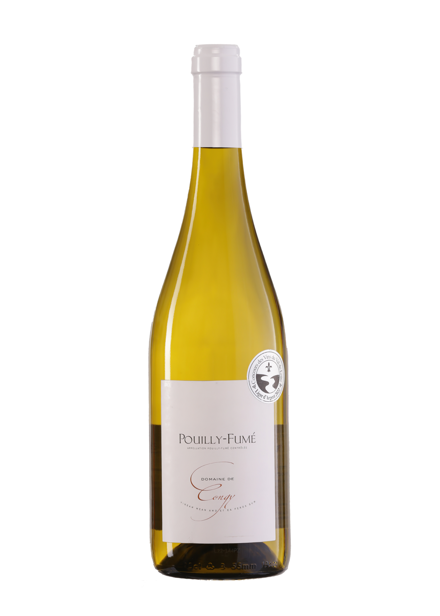 2022 Domaine de Congy Pouilly-Fumé – Family Wineries Direct